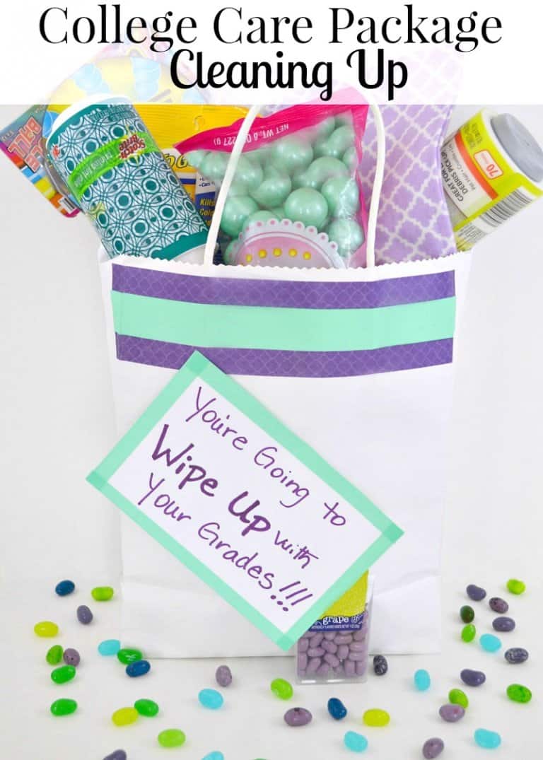 Unique College Care Package Idea - Cleaning Up - Organized 31