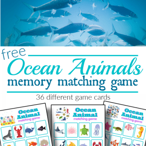Free Wild Animal Matching Game - Organized 31