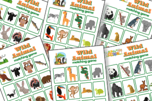 Free Wild Animal Matching Game - Organized 31